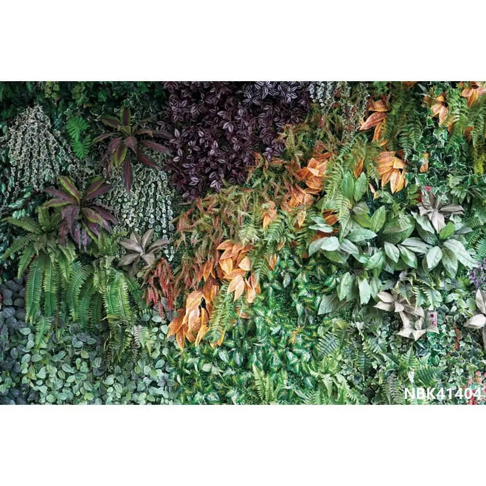 Birthday Photo Backgrounds Green Grass Wall Tropical Plants Leaves ...