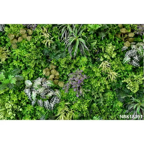 Birthday Photo Backgrounds Green Grass Wall Tropical Plants Leaves ...