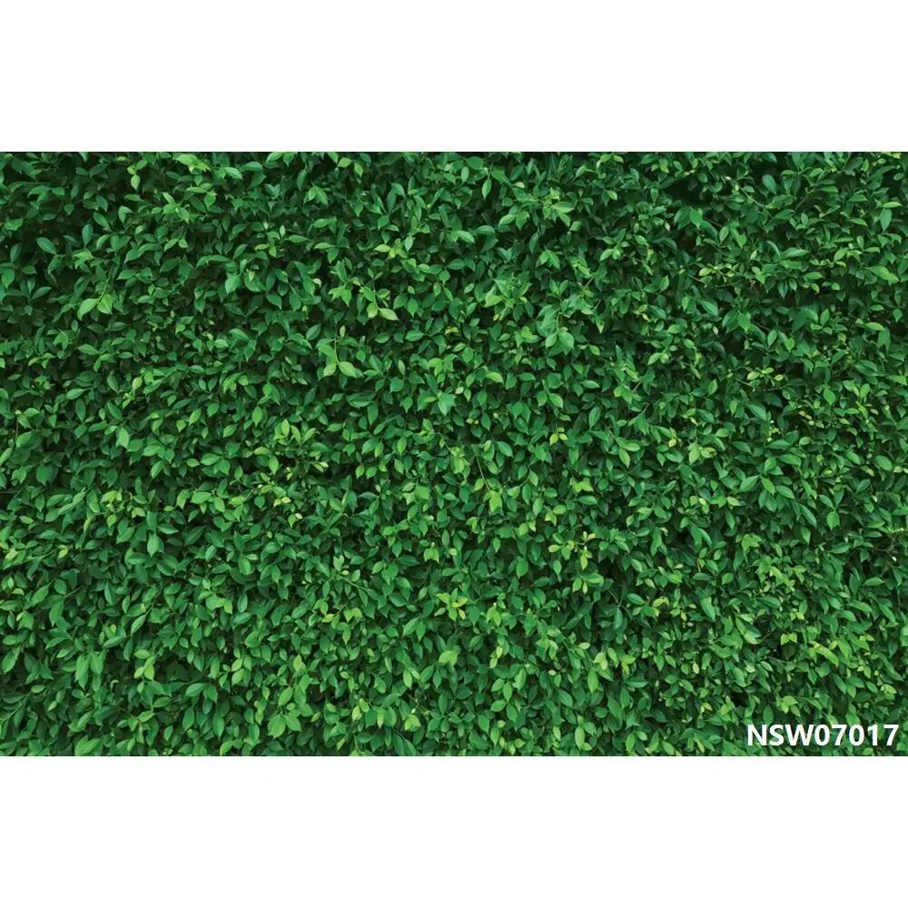Birthday Photo Backgrounds Green Grass Wall Tropical Plants Leaves ...