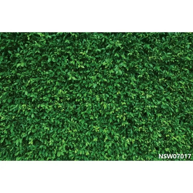 Birthday Photo Backgrounds Green Grass Wall Tropical Plants Leaves ...