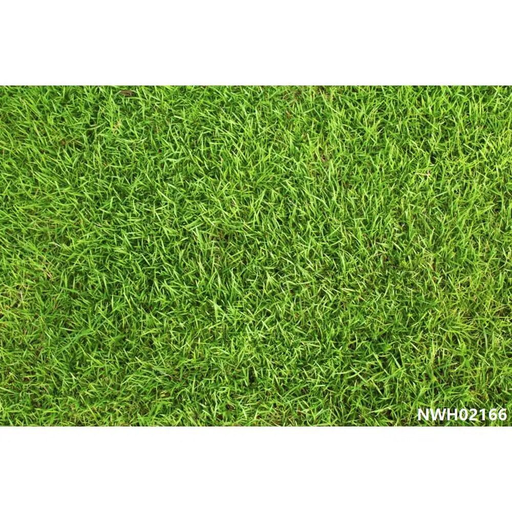 Birthday Photo Backgrounds Green Grass Wall Tropical Plants Leaves ...