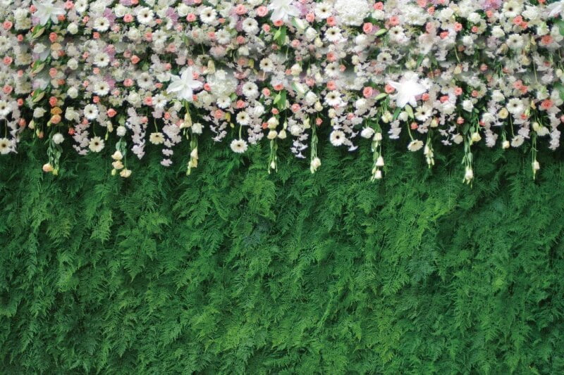 Birthday Photo Backgrounds Green Grass Wall Tropical Plants Leaves ...