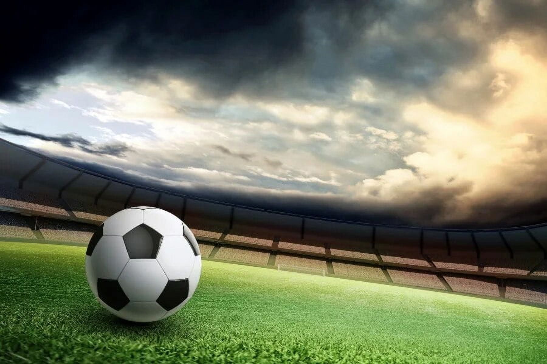 Birthday Photocall Backgrounds Football Soccer Field Grassland Stadium ...