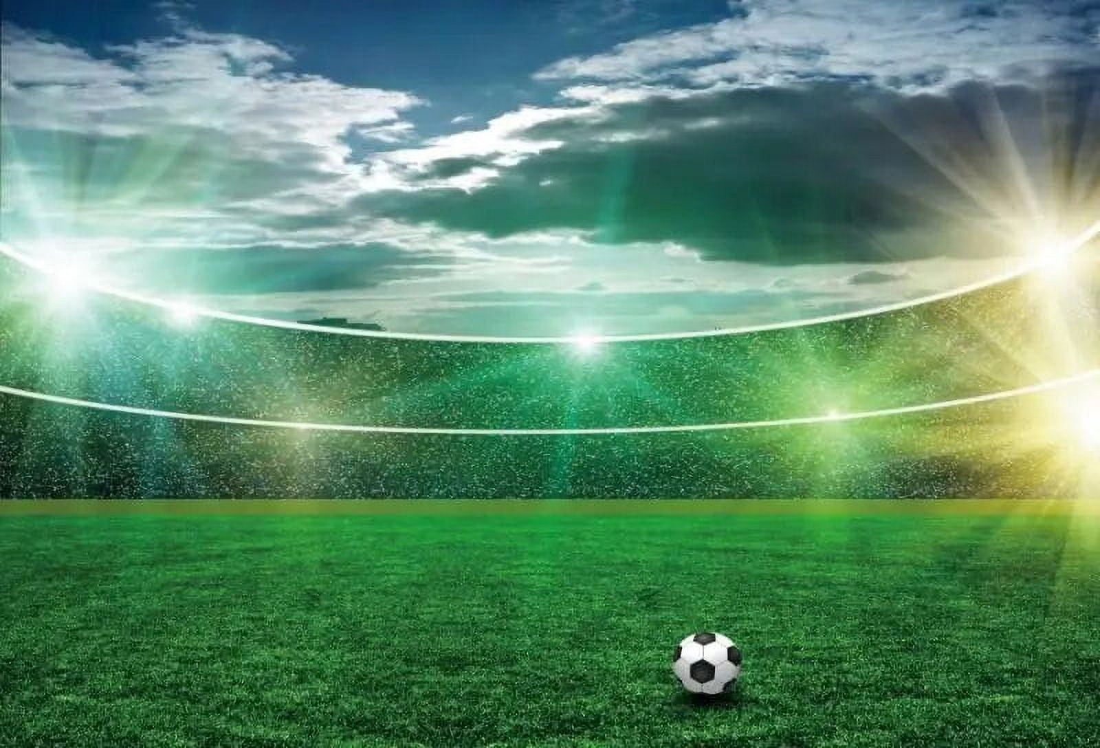 Birthday Photocall Backgrounds Football Soccer Field Grassland Stadium ...