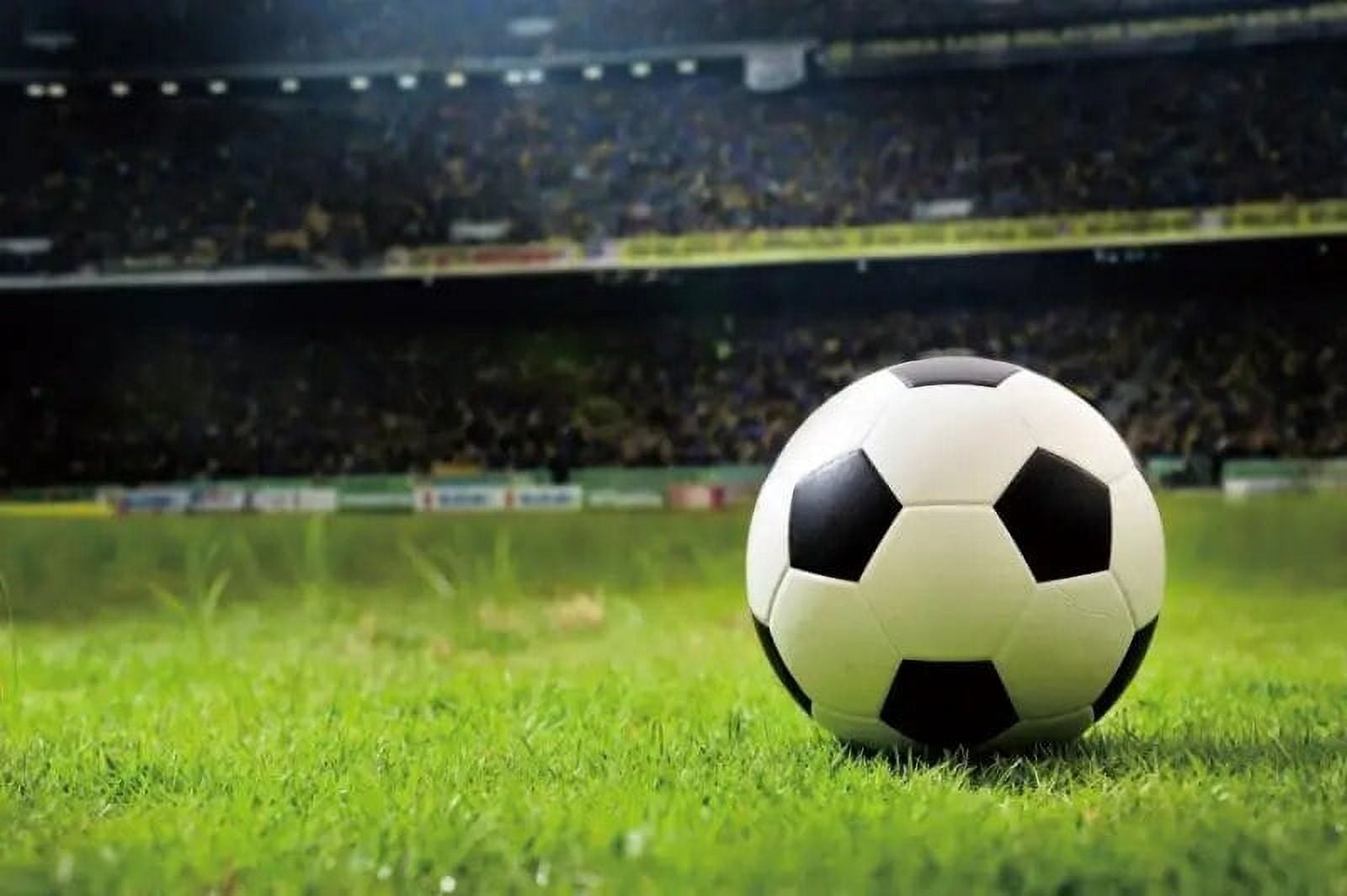 Birthday Photocall Backgrounds Football Soccer Field Grassland Stadium ...