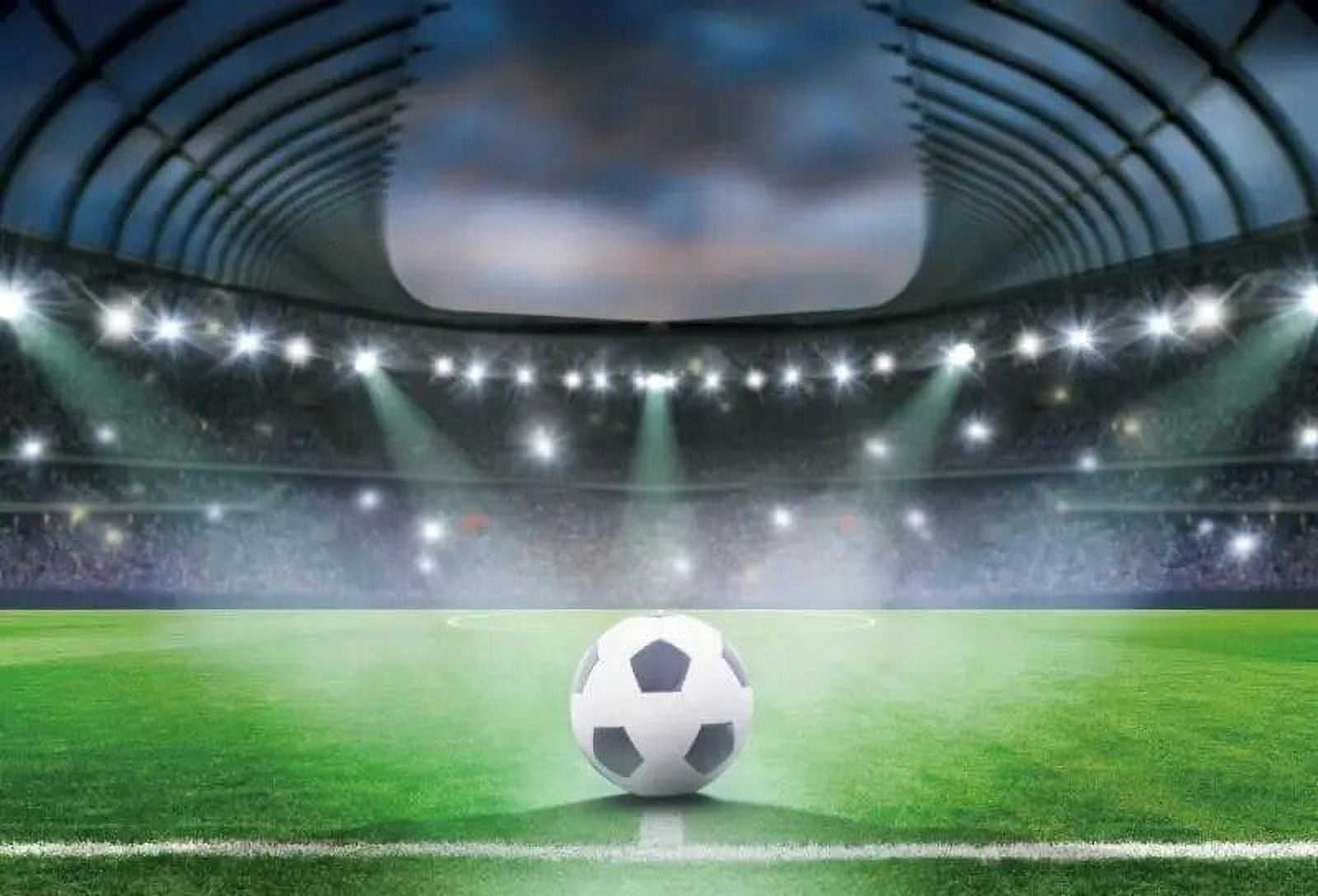 Birthday Photocall Backgrounds Football Soccer Field Grassland Stadium ...