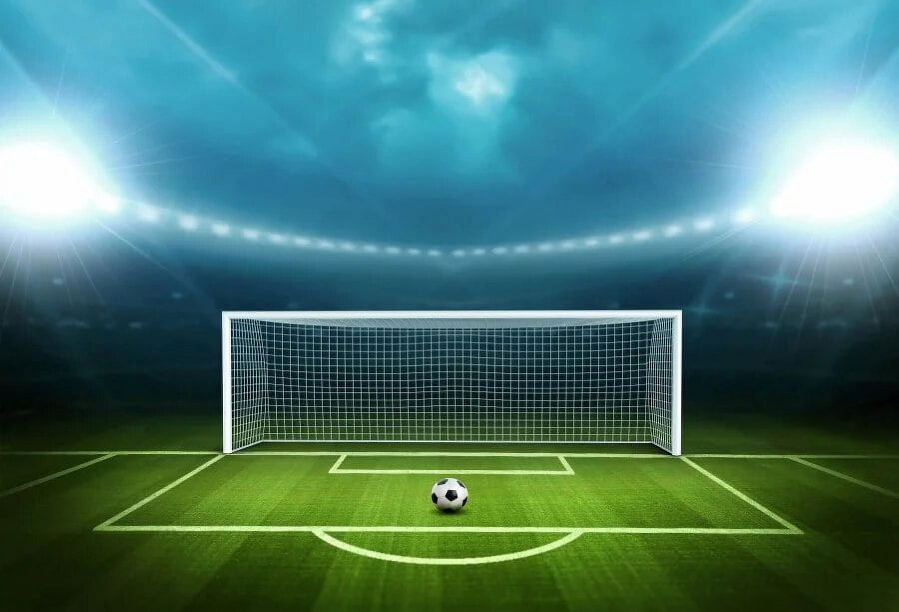 Birthday Photocall Backgrounds Football Soccer Field Grassland Stadium ...
