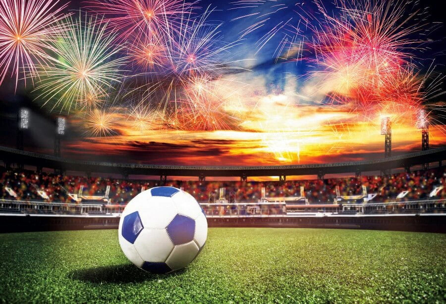 Birthday Photocall Backgrounds Football Soccer Field Grassland Stadium ...