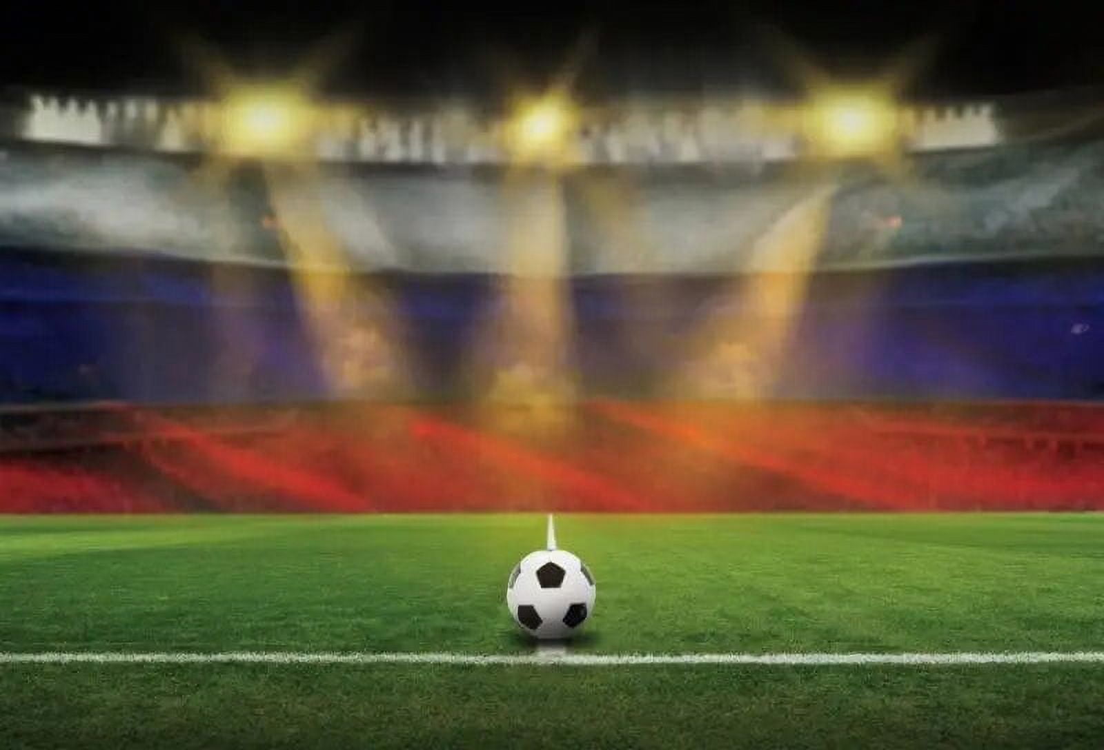 Birthday Photocall Backgrounds Football Soccer Field Grassland Stadium ...