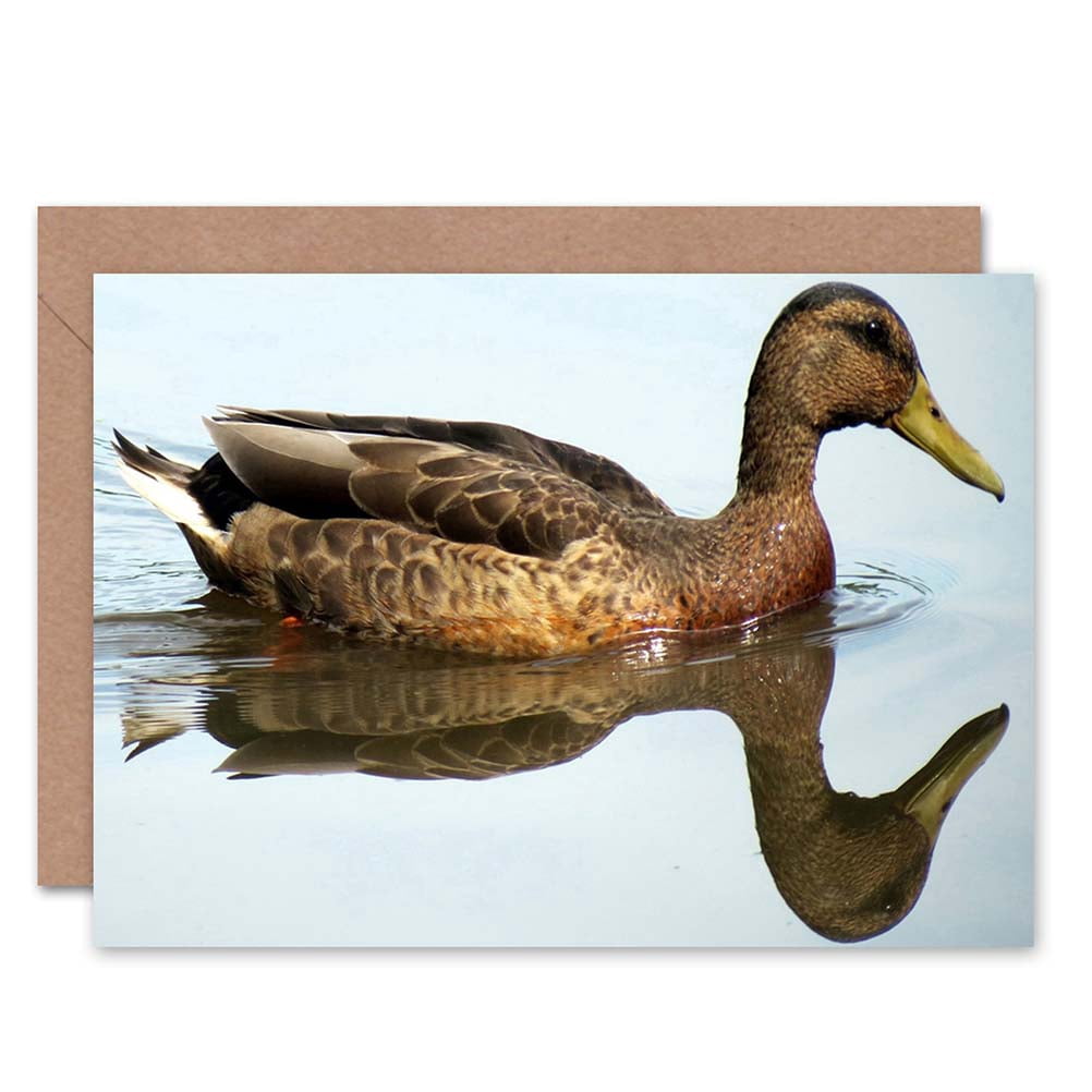 Birthday Swimming Brown Duck Greetings Card Plus Envelope Blank inside ...