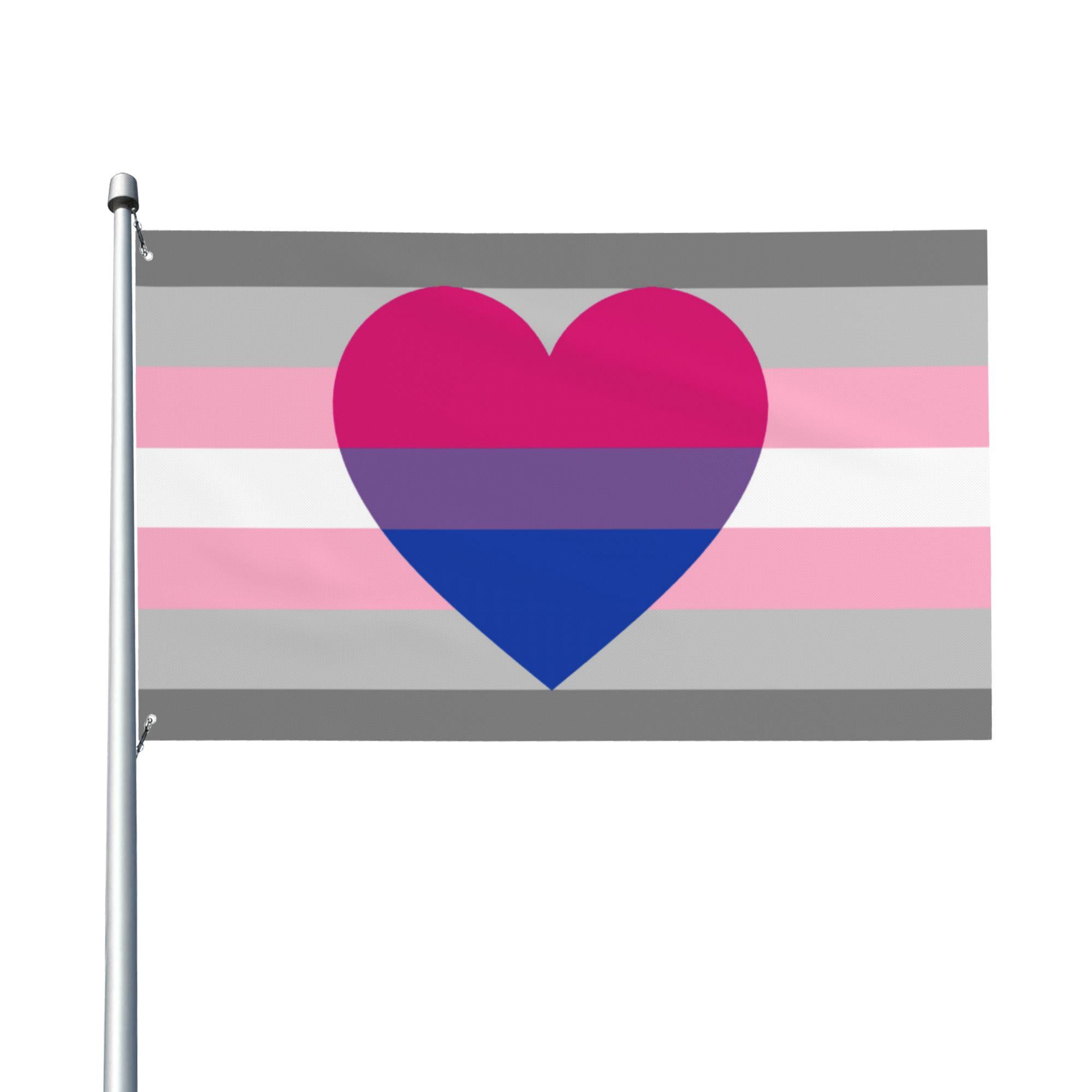 Bisexual Demigirl Pride Flags Garden Home Flag House Flags For Outdoor ...