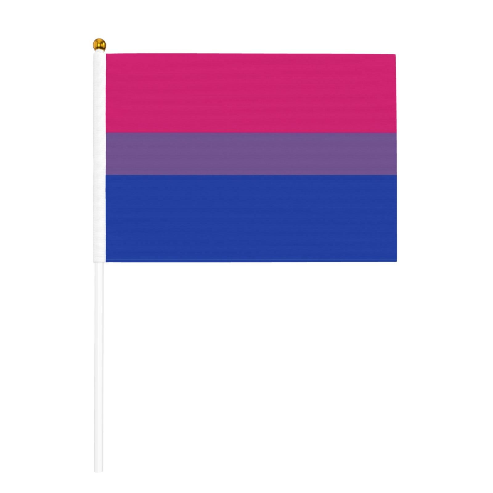 Bisexual Flag Lgbtq Flag Flag Small Mini Hand Held Flags Small ...
