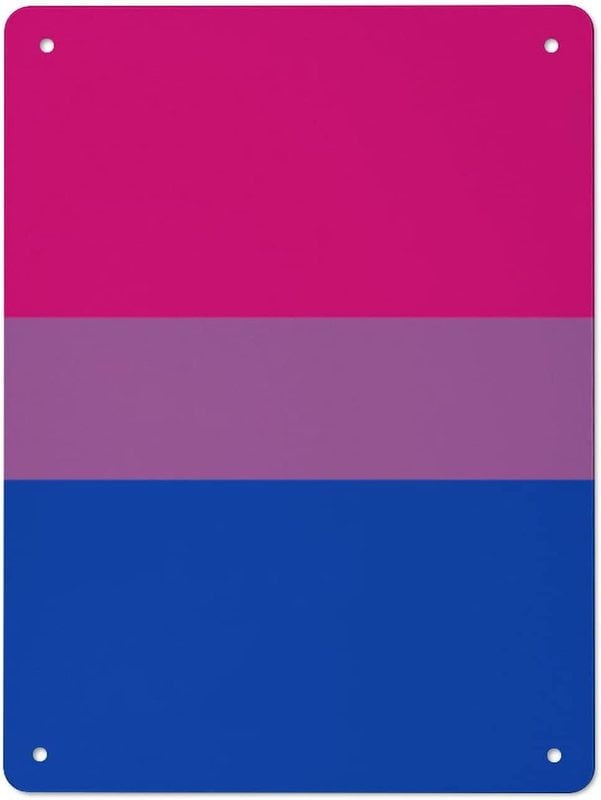 Bisexual Pride LGBT Flag Tin Signs Vintage Iron Sheet Hanging Painting ...