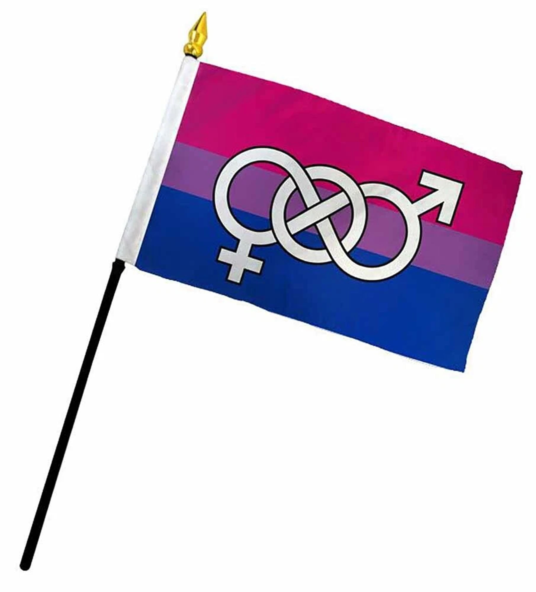 Bisexual Symbol Bi Pride LBGTQ 4"x6" Flag Desk Table Plastic Stick ...