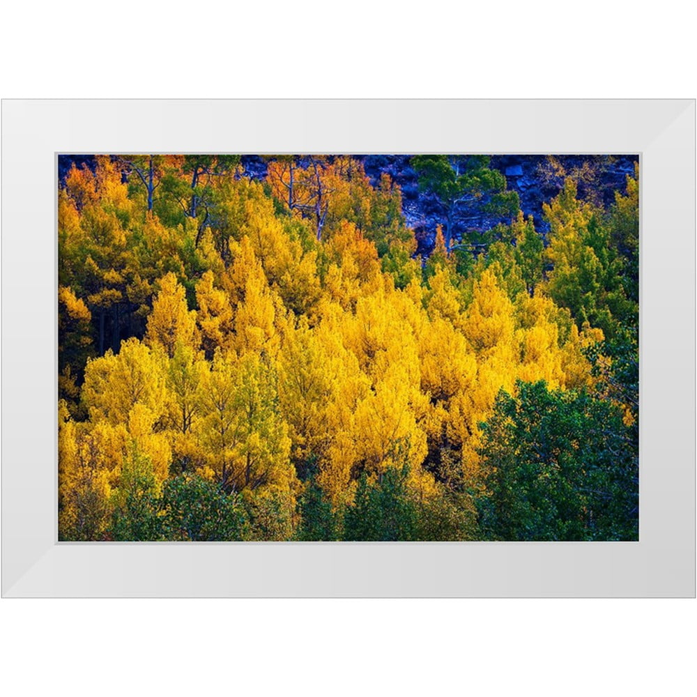 Bishop, Russ 24x17 White Modern Wood Framed Museum Art Print Titled ...