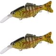 Bisitoy 2Pcs Soft Plastic Fishing Lures Set with Tail for Crappie ...