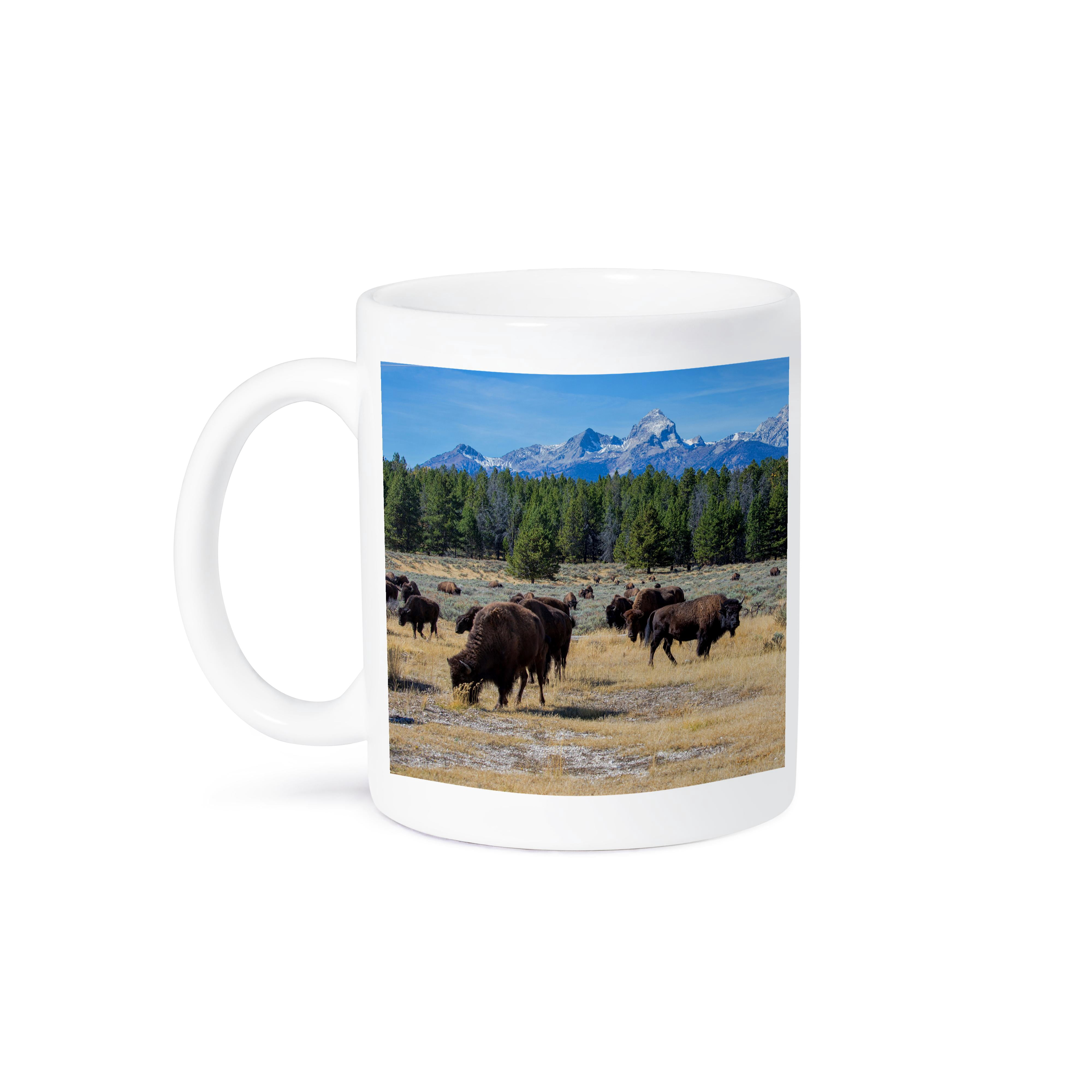 Bison, Bison Bison, Grand Teton National Park, Wyoming, 15oz Mug ...
