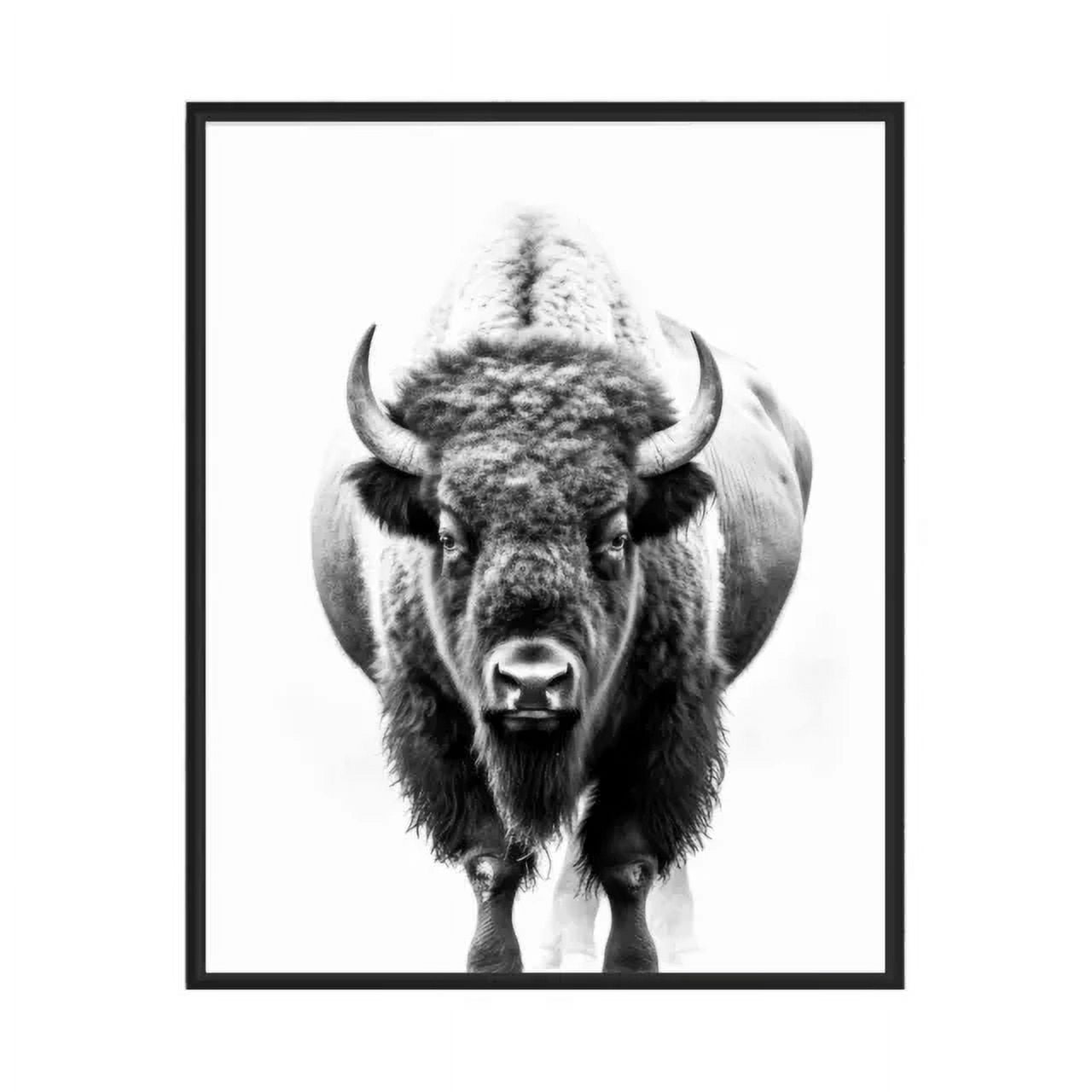 Bison Black And White Animal Photo Art Print Poster Wall Art Painting ...