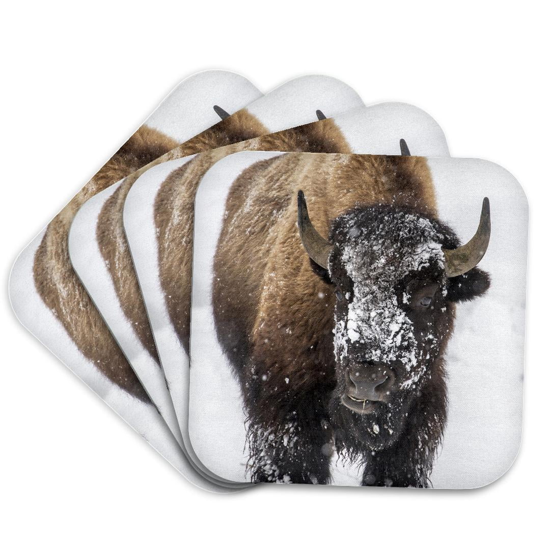 3drose, Bison Bull with Snowy Face in Yellowstone Np, Wyoming, Usa, Set ...