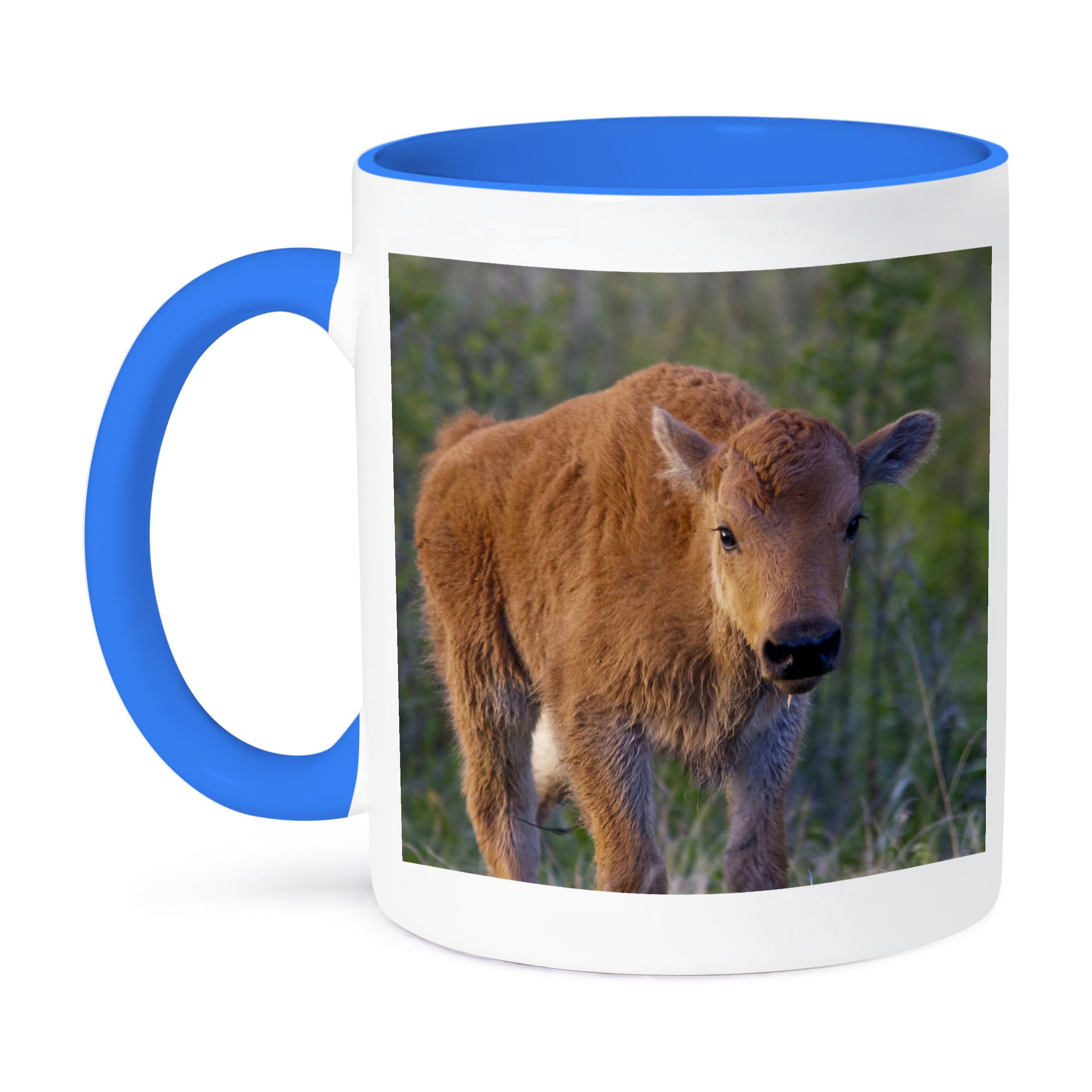 Bison Calf, National Bison Range, Moiese, Montana - Us27 Cha1699 ...