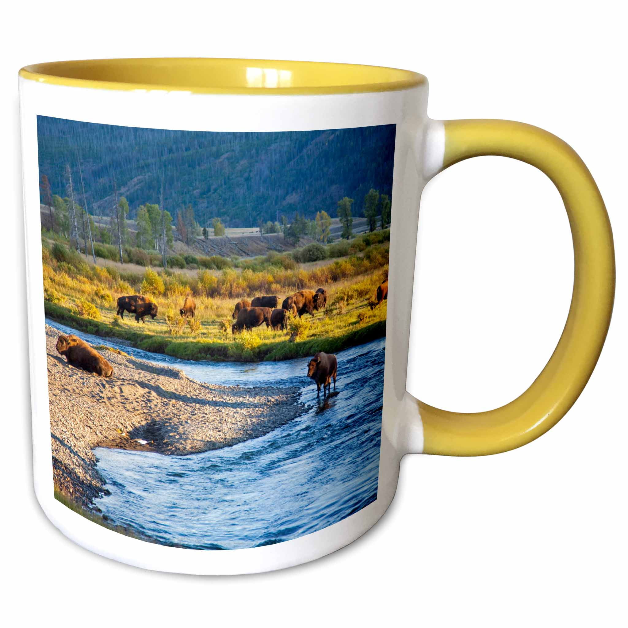 3drose, Bison Herd, Lamar Valley, Yellowstone Np, Wyoming - Us51 ...