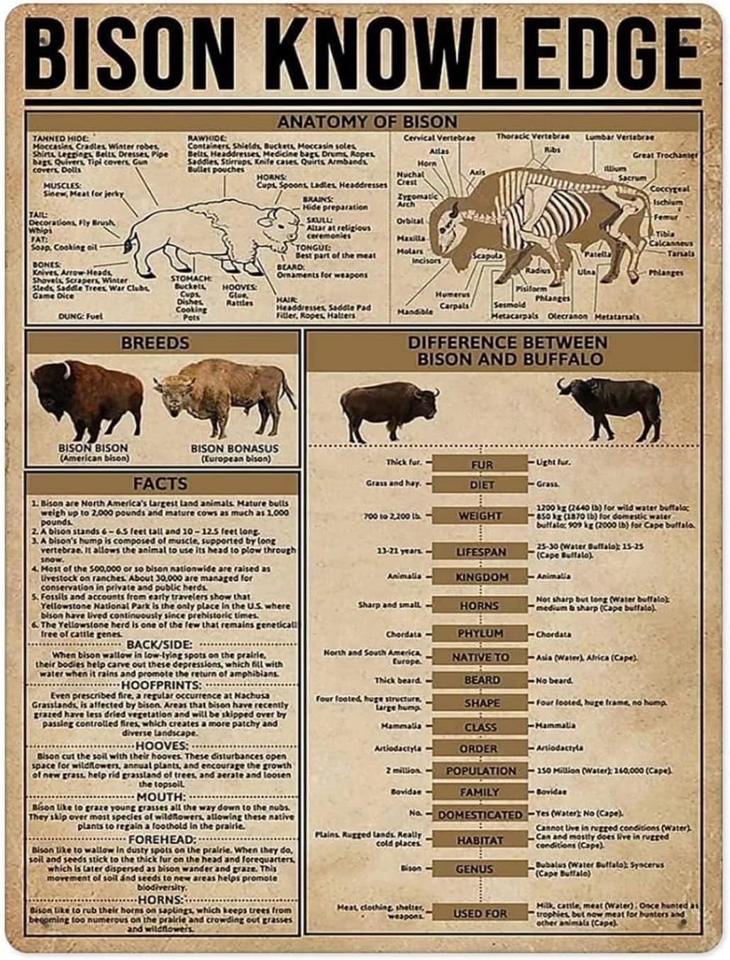 Bison Knowledge Metal Tin Signs Anatomy Of Bison Poster Popular Science ...