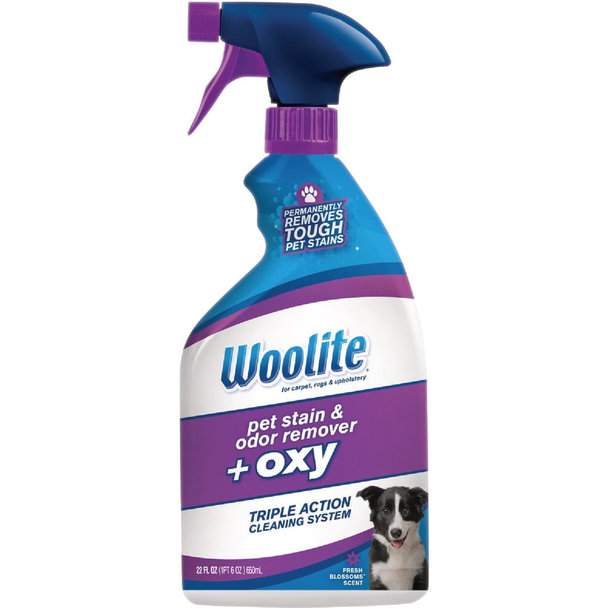 Bissell Woolite Cat/Dog Odor/Stain Remover 22 oz. - Walmart.com