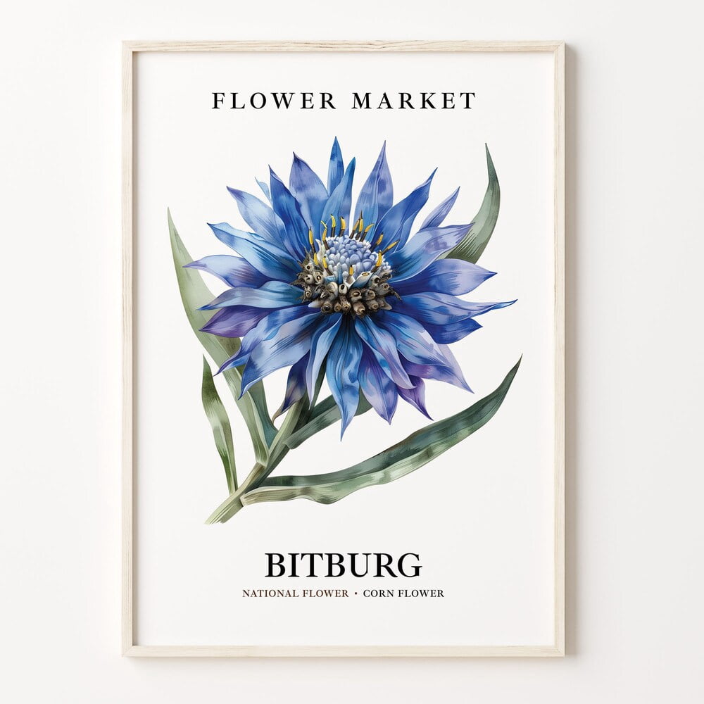 Bitburg Flower Art Print Germany Flower Market Hawaiian Hibiscus 1960'S ...