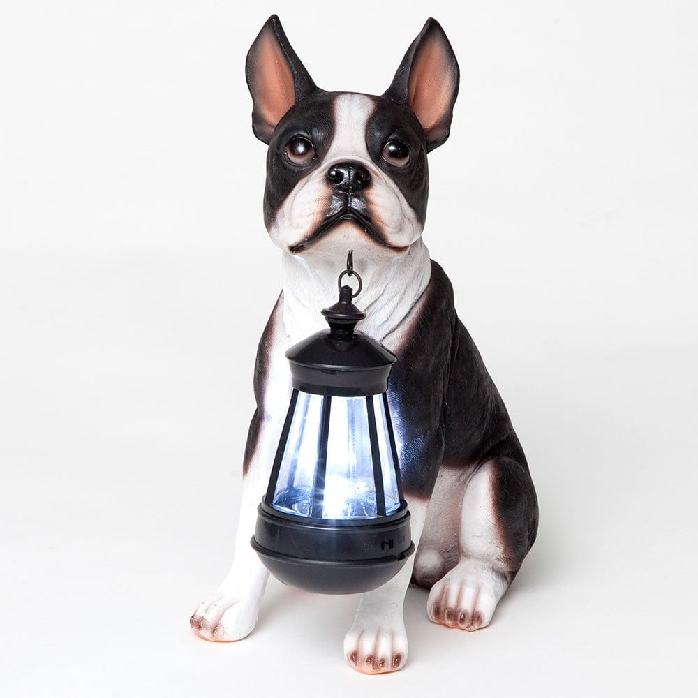 Bits and Pieces Boston Terrier Solar Lantern Statue LED Resin Dog ...