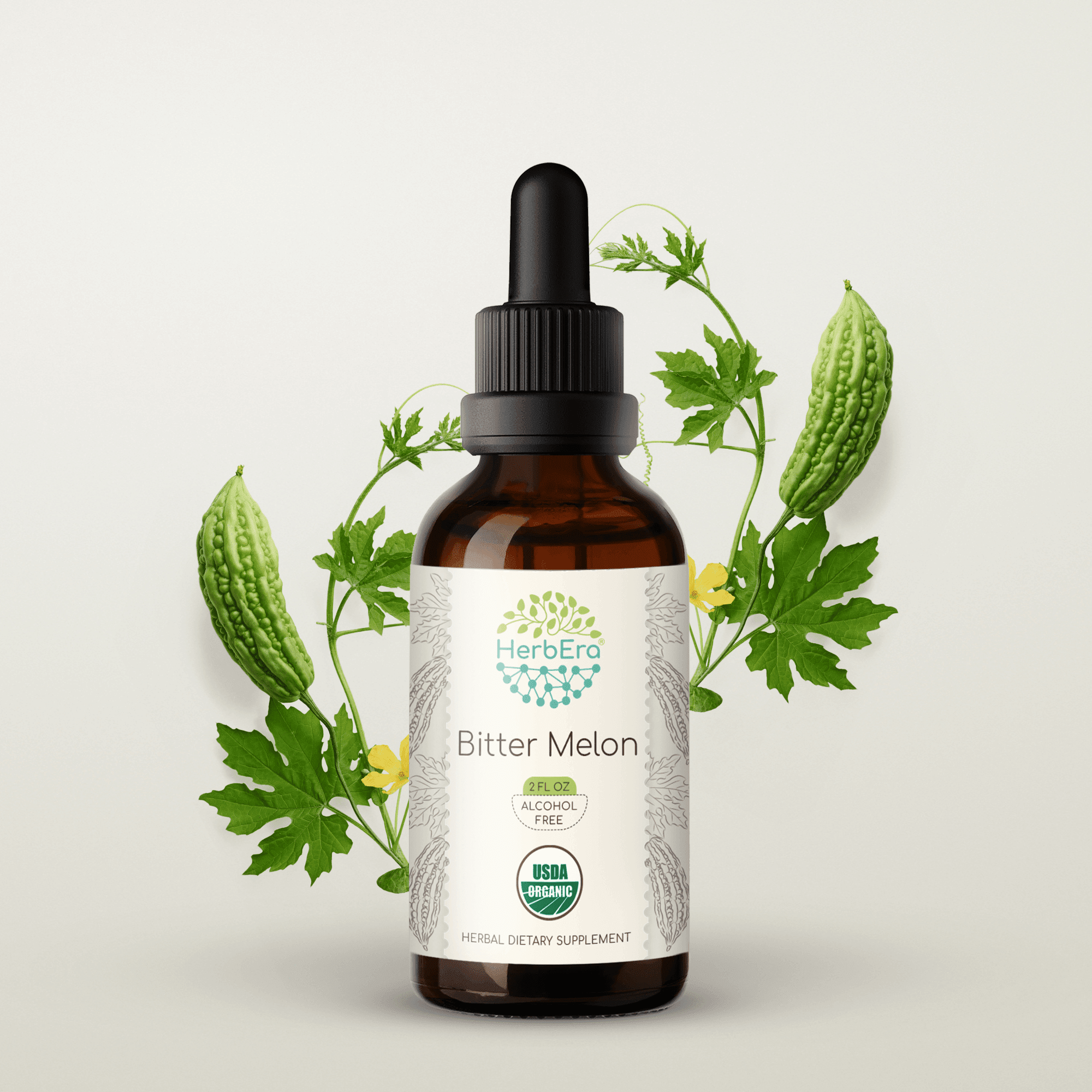 Bitter Melon Alcohol-FREE Herbal Extract Tincture, Organic (African ...