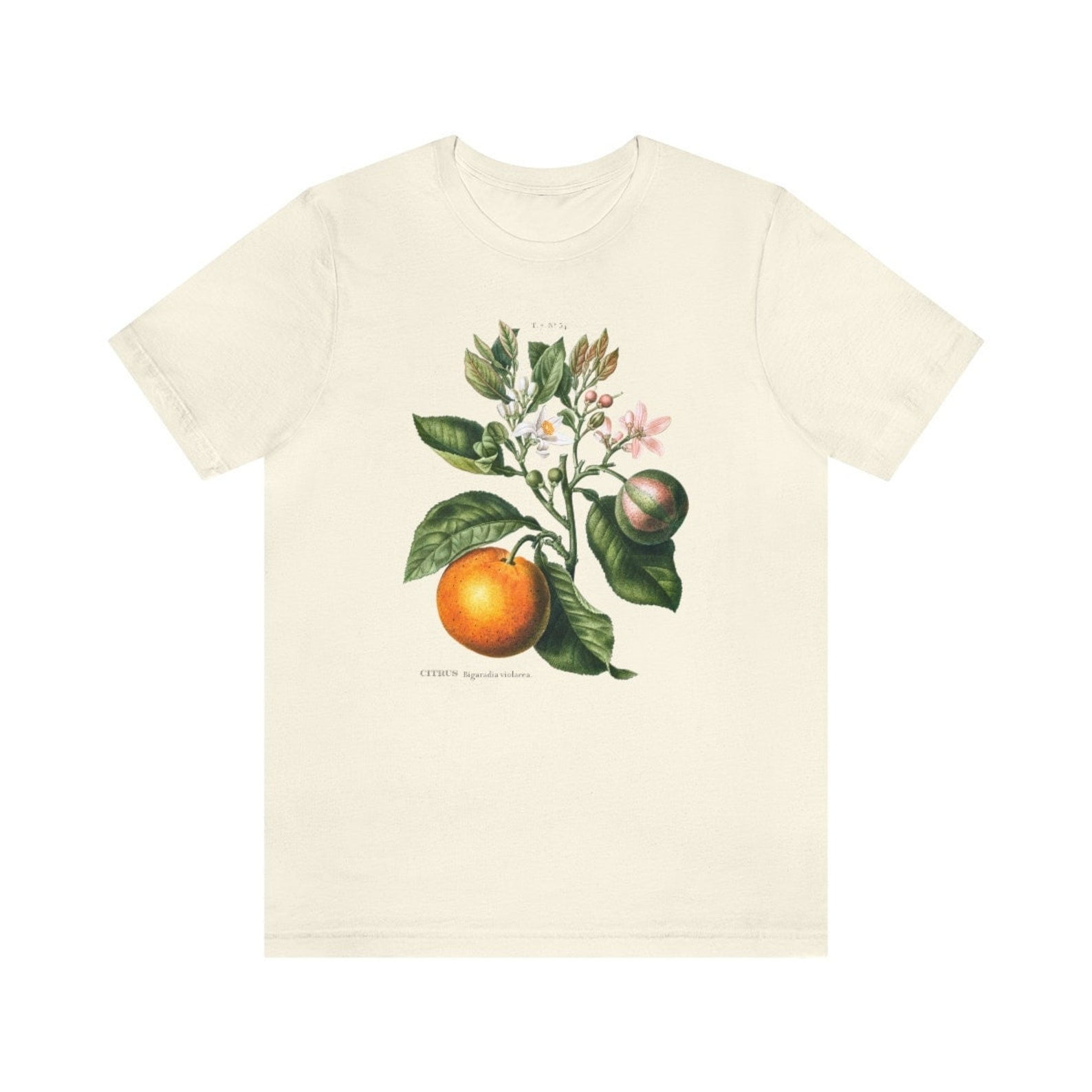 Bitter orange shirt, Vintage Orange tshirt, Citrus Blossom Botanical ...