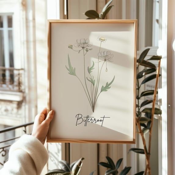Bitterroot Flower Line Art Poster: Montana State Flower, Unframed ...