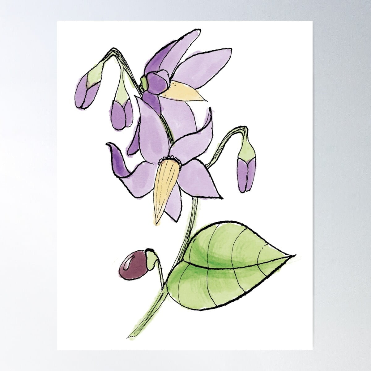 Bittersweet Nightshade Poster Wall Art, Modern Wall Decor For Living ...