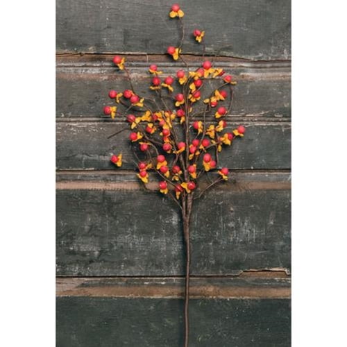 Bittersweet Spray, 18" - Walmart.com