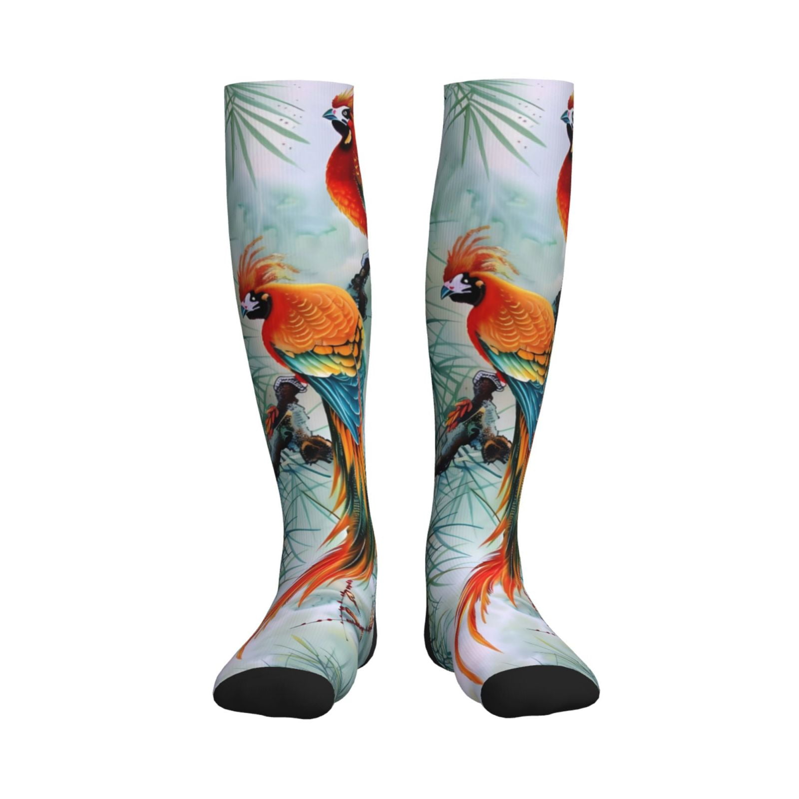Bixox Colorful Birds Pine Branch Print Compression Socks,Compression ...
