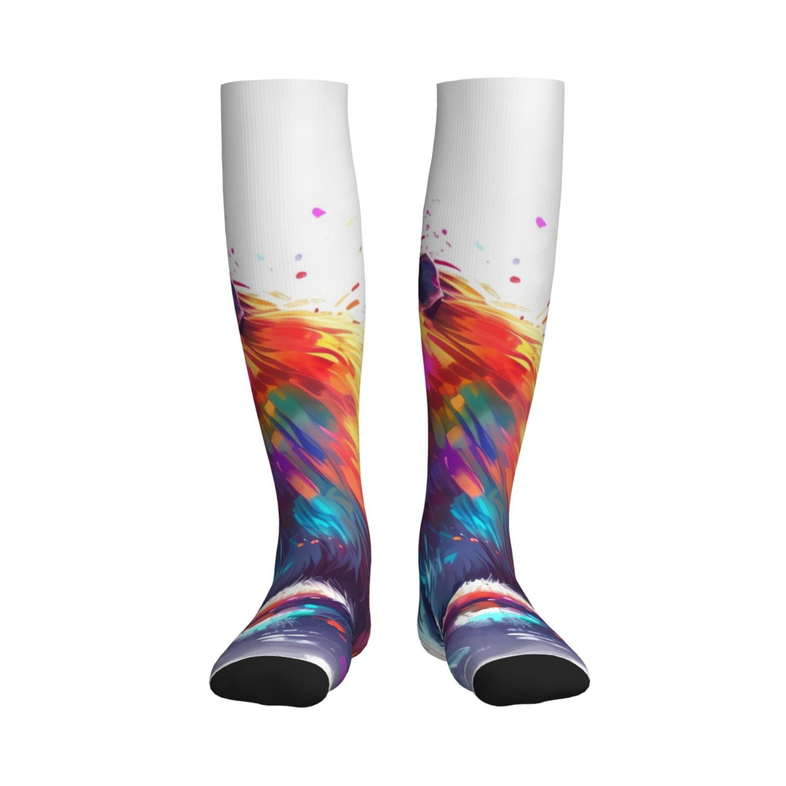 Bixox Watercolor Butterfly Guinea Pig Print Compression Socks ...