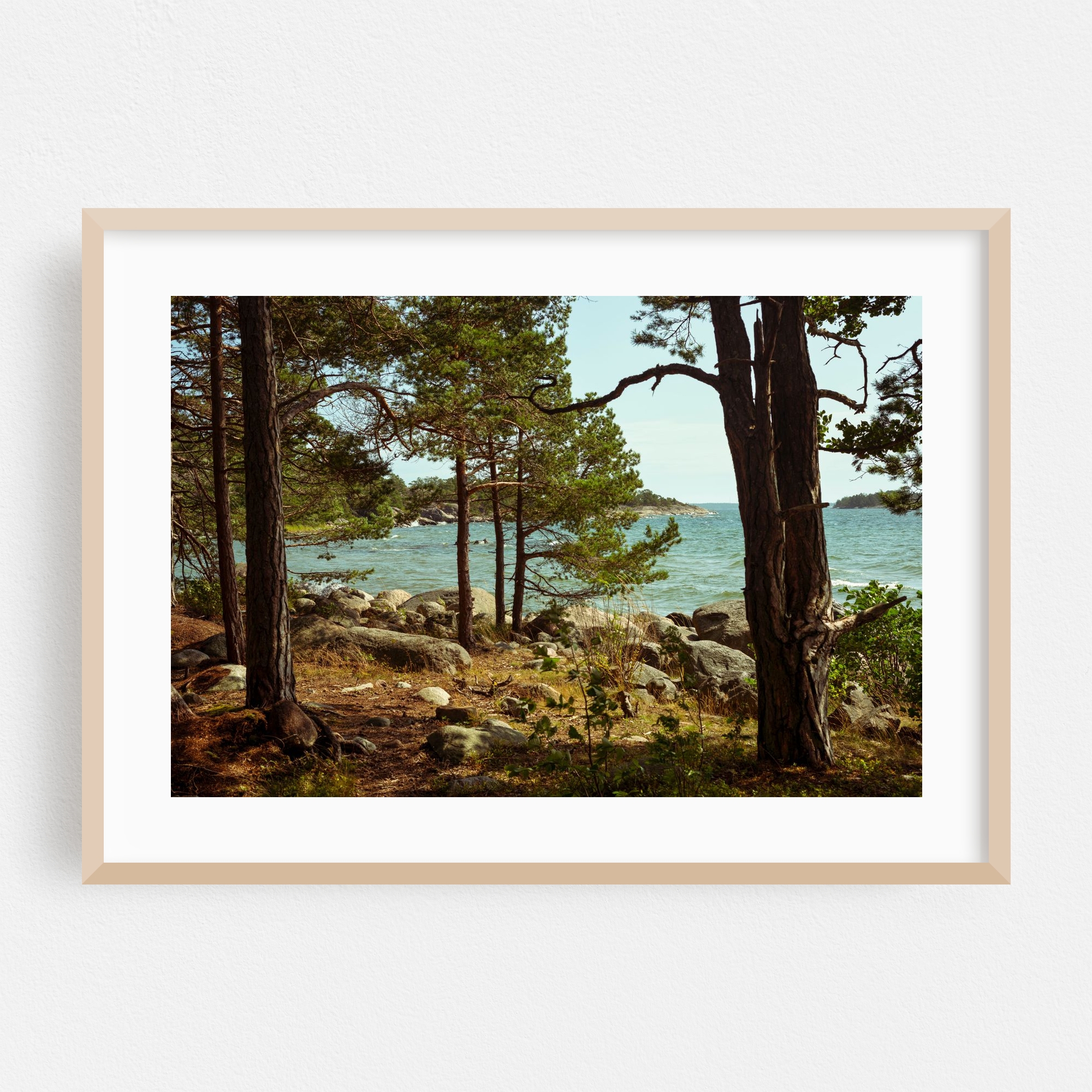 Björnö - Stockholm County Sweden Photography Seascape Coast Forest ...