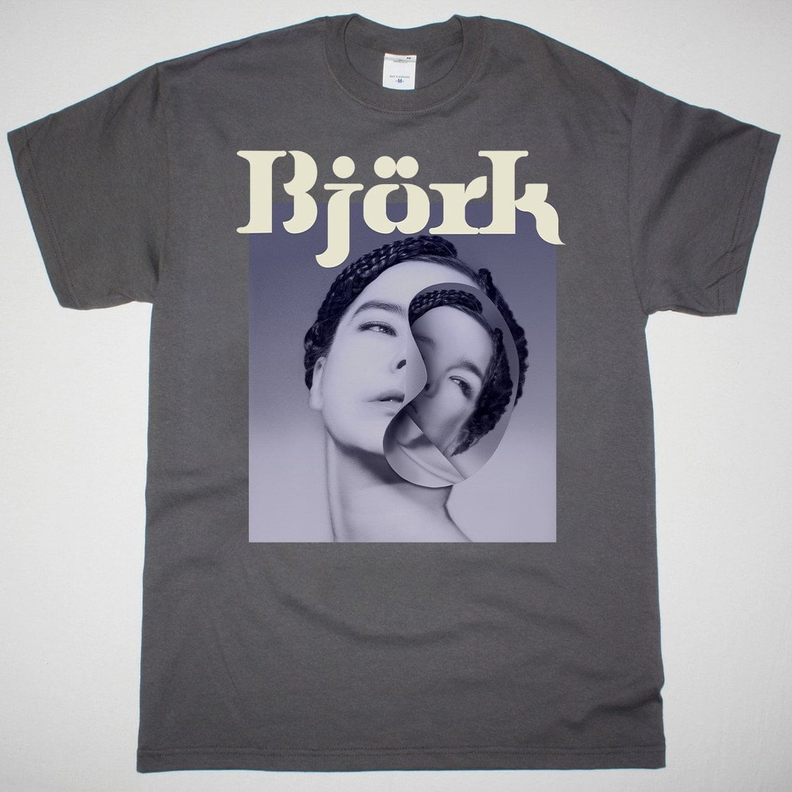 Bjork Album 90s T-shirt, Björk T-shirt, Bjork Music Icon Shirt, 90s ...