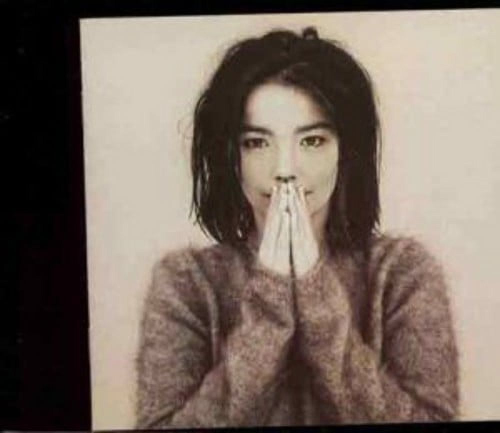 Bjork - Debut - Music & Performance - Vinyl - Walmart.com