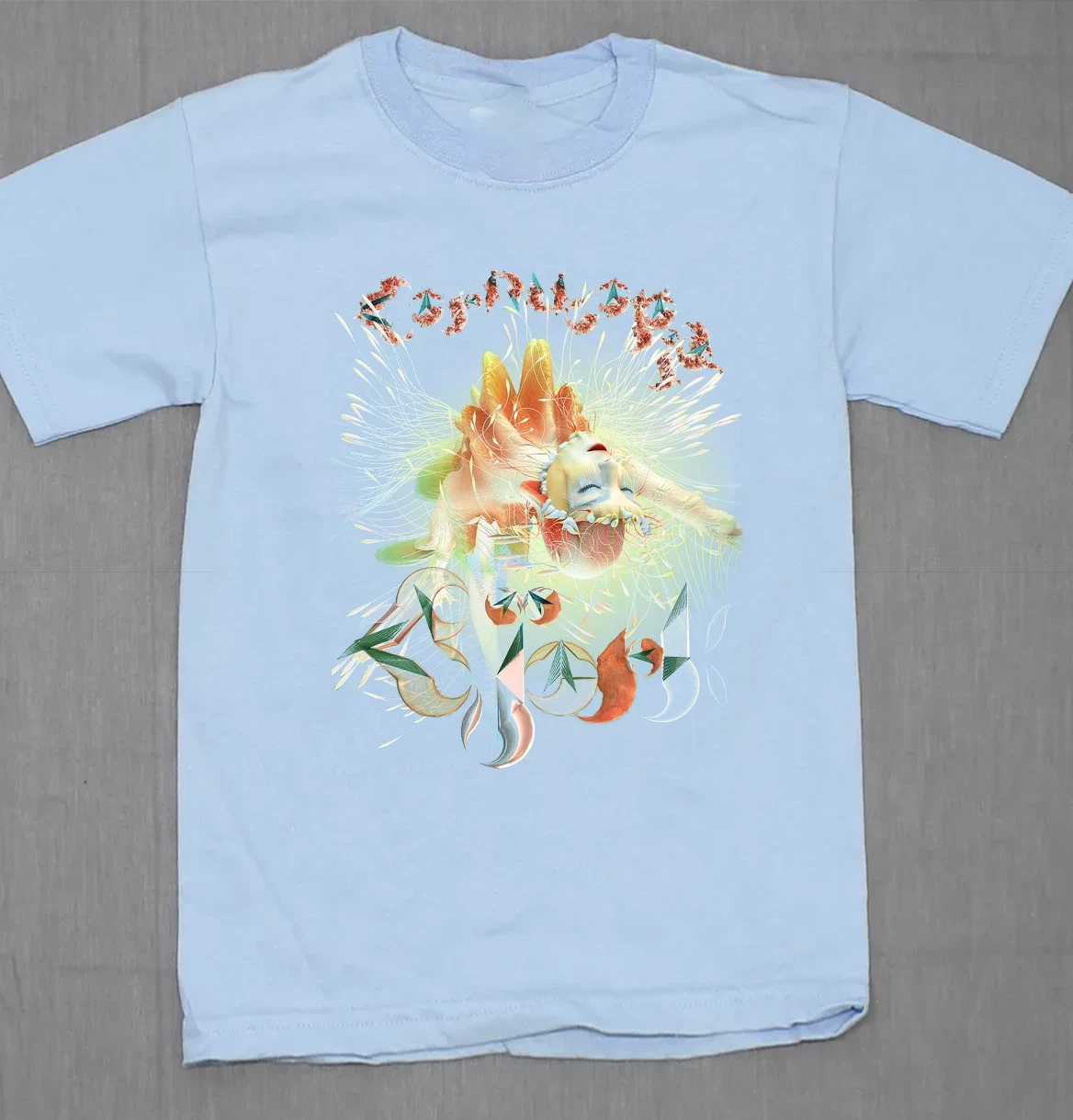 Bjork Music Concert Album Adult Unisex Tee Short Sleeve Shirt Light ...