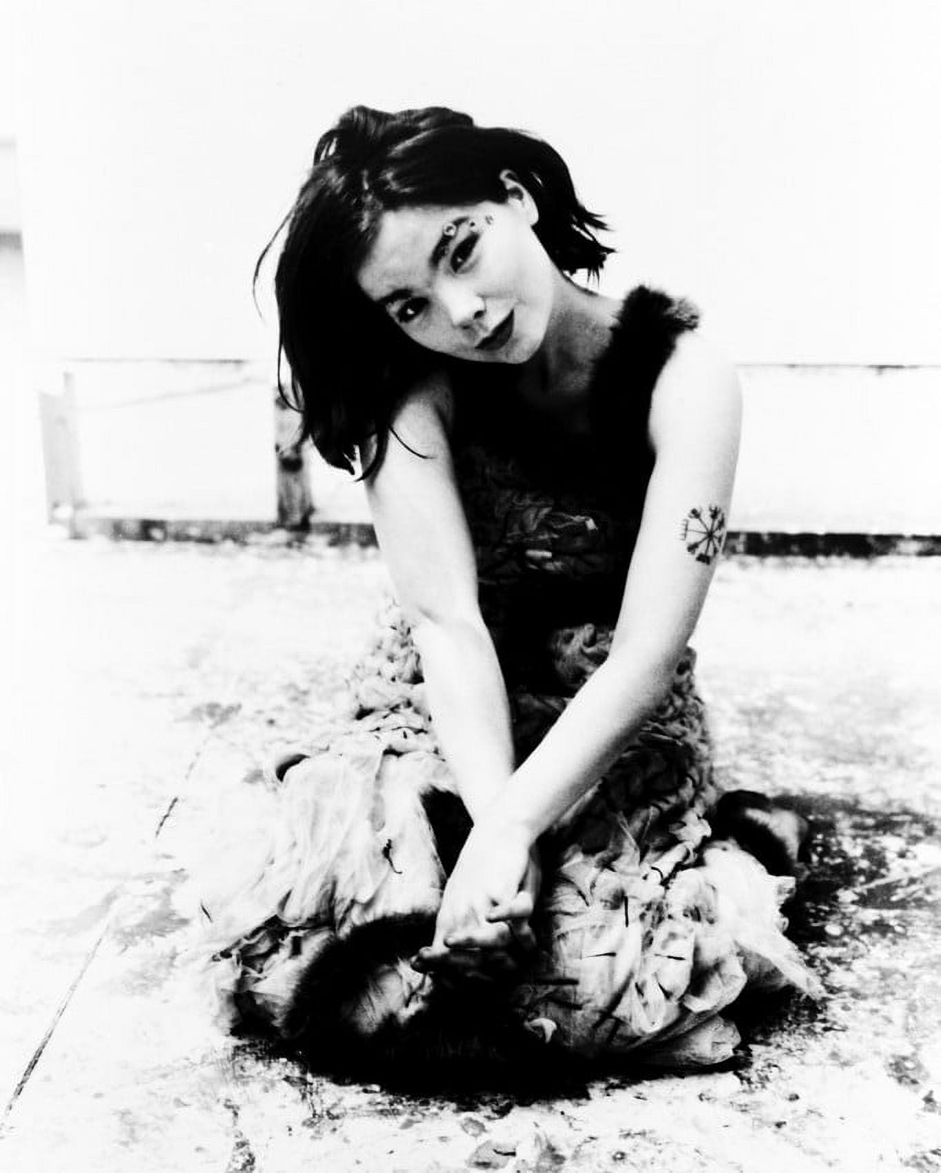 Bjork Pose On Floor 24x36 Classic Hollywood Poster - Walmart.com