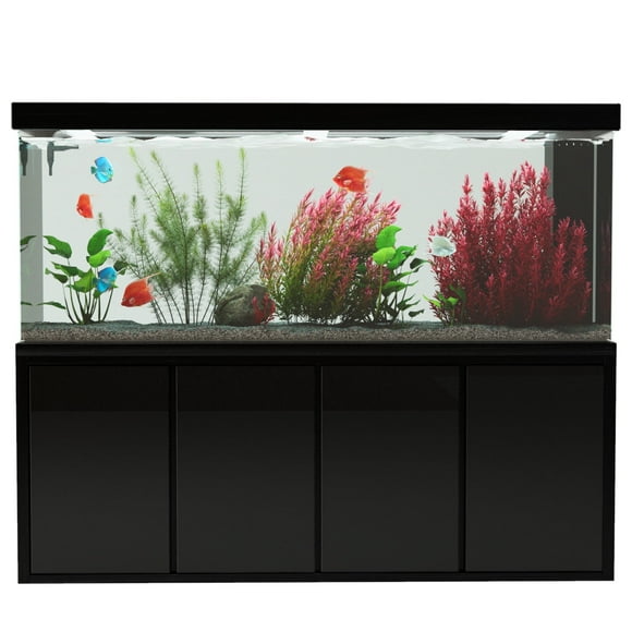 100 Gallon Fish Tank