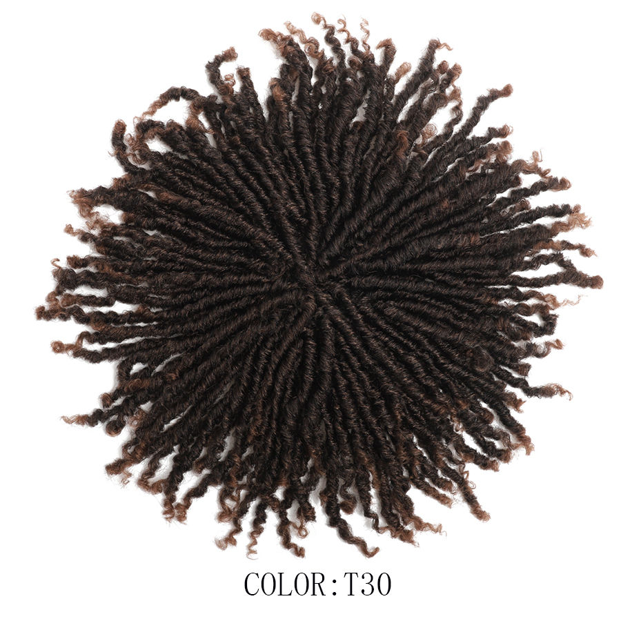 Black American dreadlocks small curly dreadlocks fashion personality ...