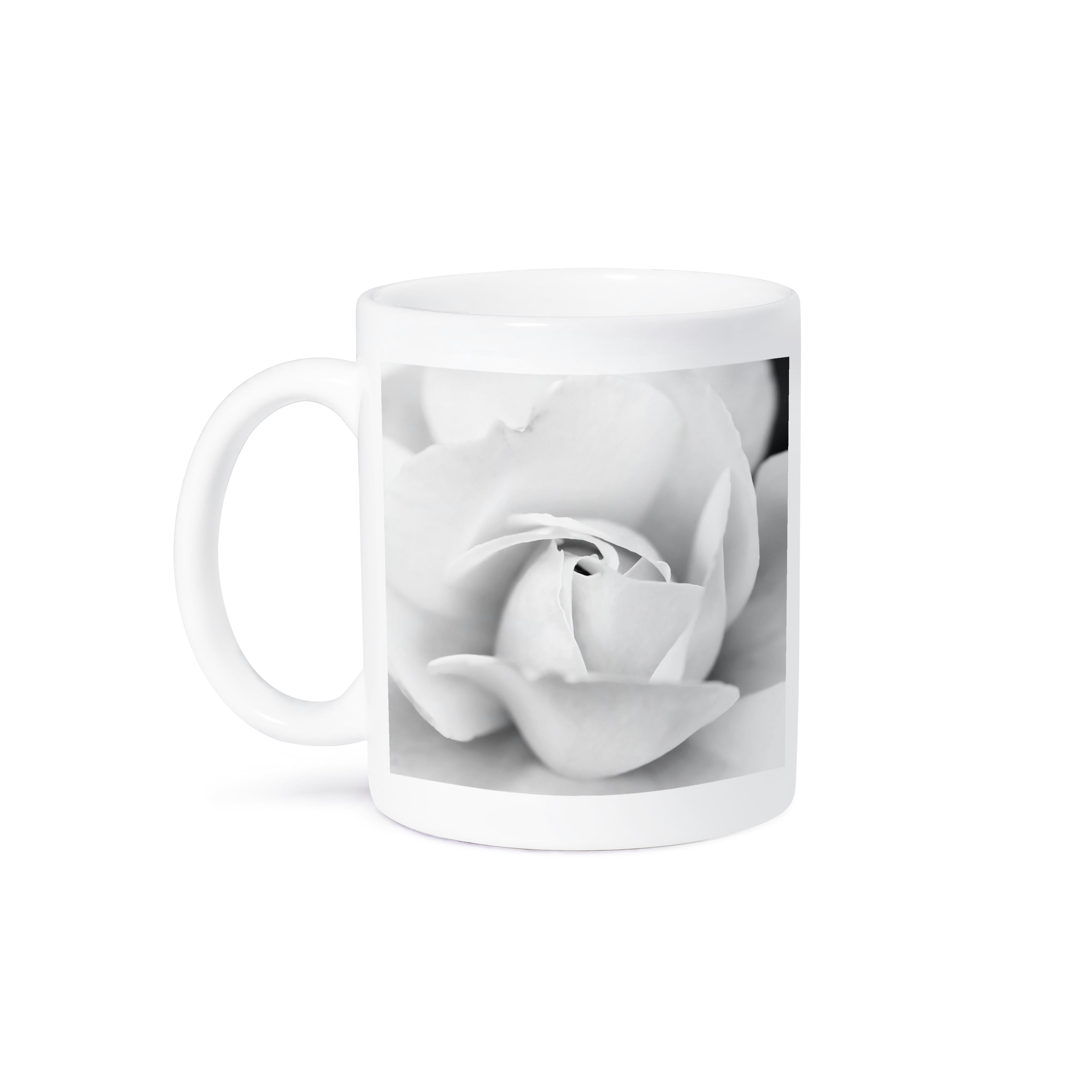 Black And White Macro Photograph Of A Pastel St. Tropez Rose In Bloom ...