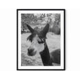 Black And White Photo Wall Art Print Llama Face Poster Wall Art Modern ...