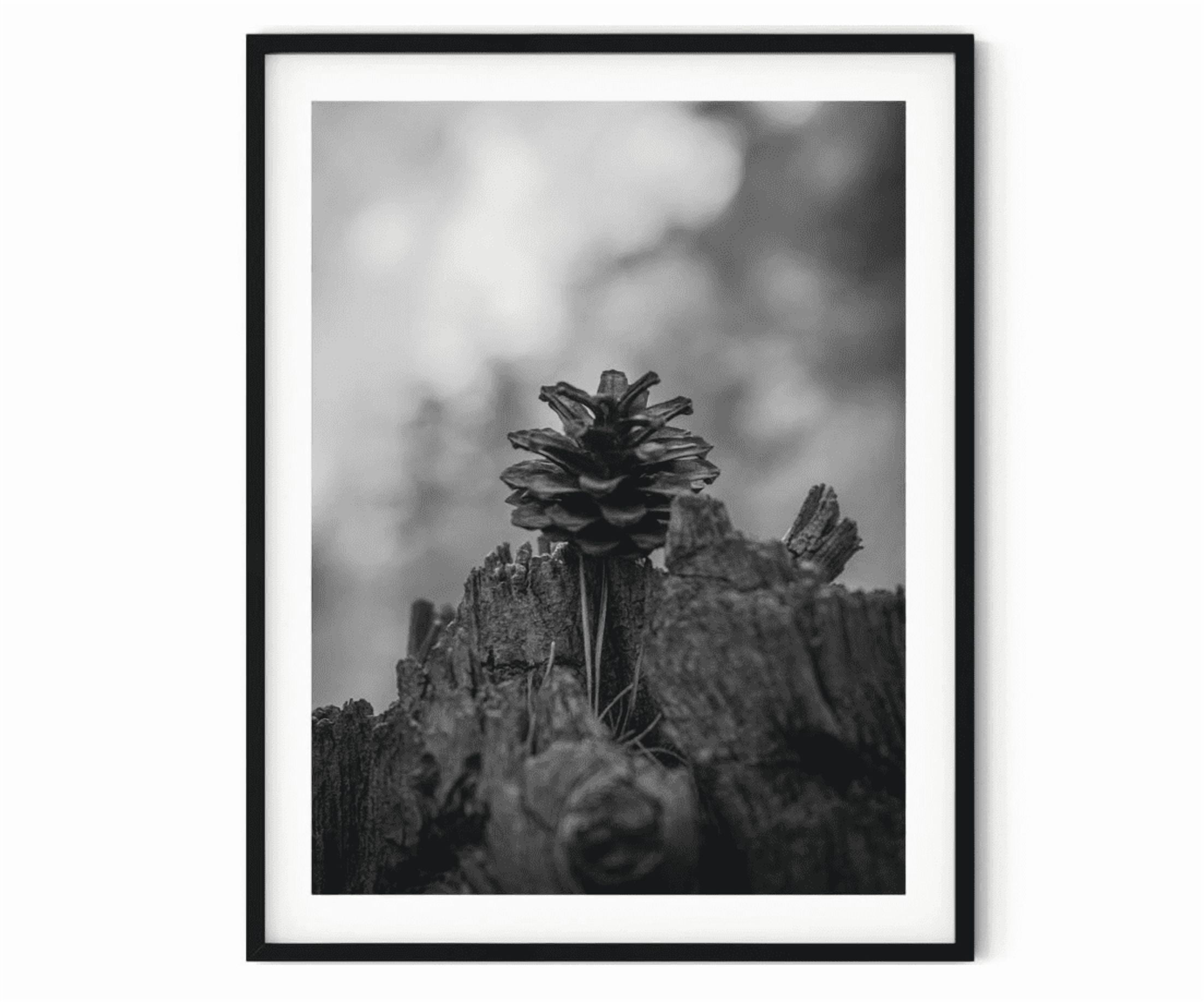 Black And White Photo Wall Art Print Pine Cone And Stump Poster Wall ...