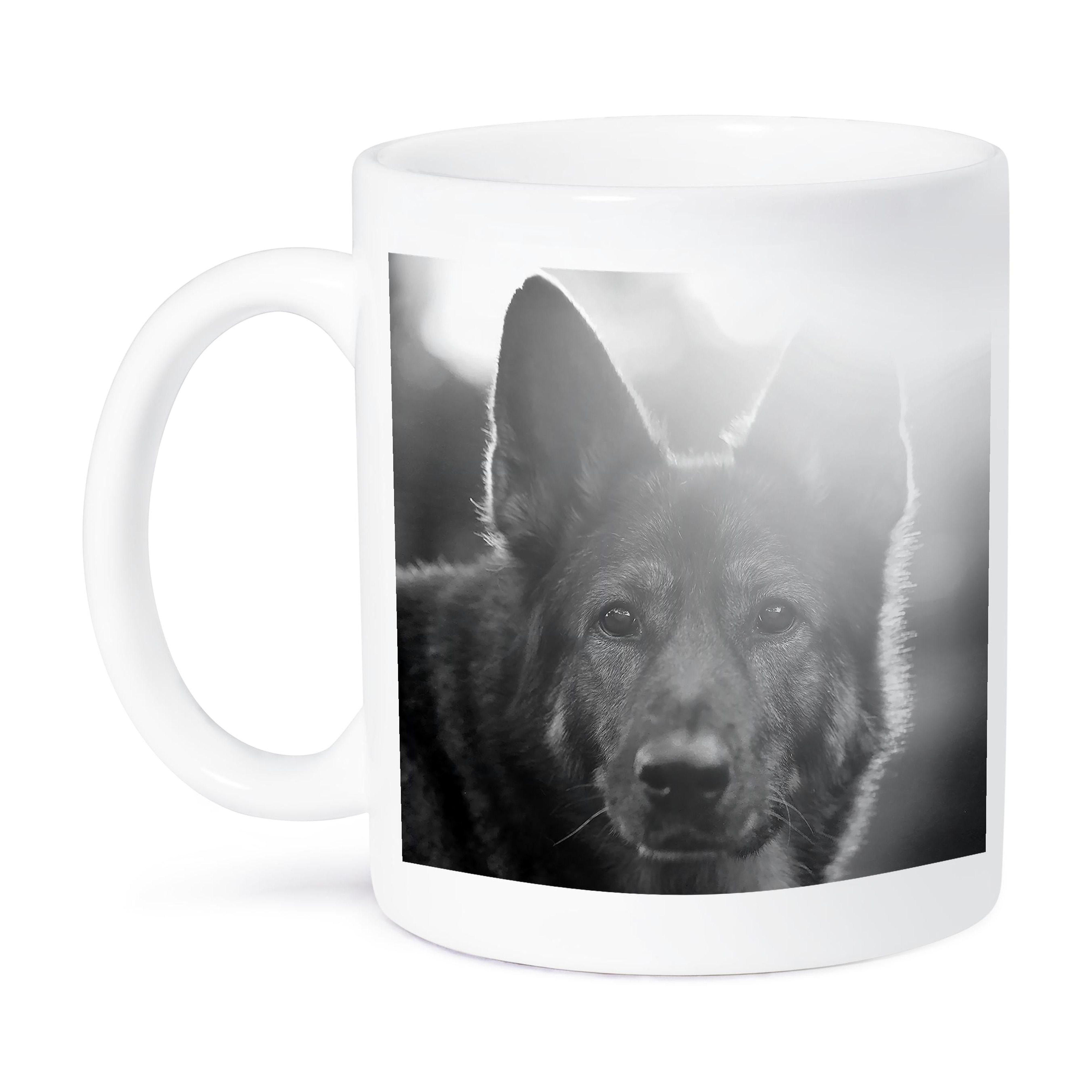 Black And White Photograph Of A German Shepherd Staring At The Camera ...