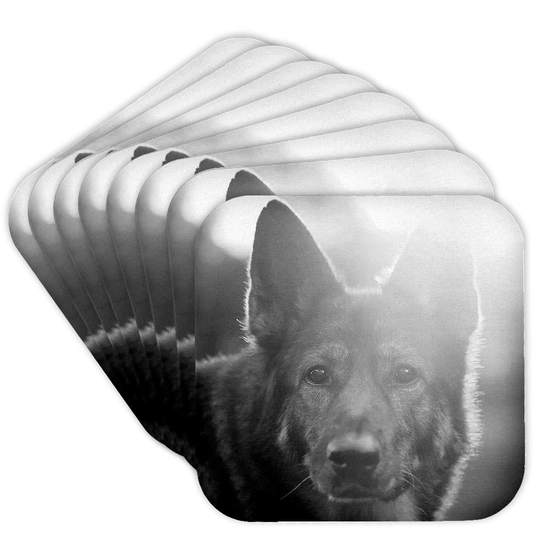 3drose, Black and White Photograph of a German Shepherd Staring at the ...