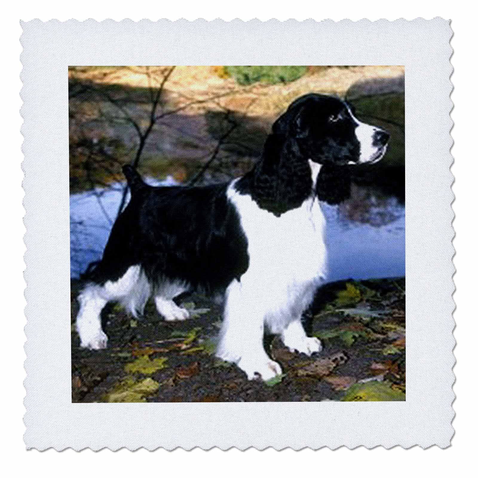 Black And White Springer Spaniel 10x10 inch quilt square qs-949-1 ...