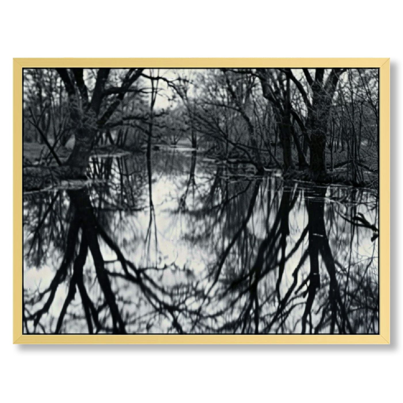 Black And White Wall Art The Reflection of Trees on The Lake Canvas Art ...